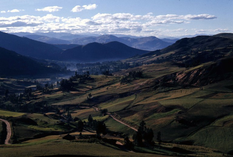 Potatoes – the real treasure of the Incas . . . | A balanced diet