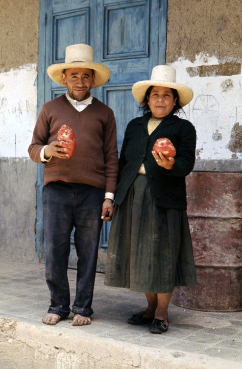 Potatoes – the real treasure of the Incas . . . | A balanced diet