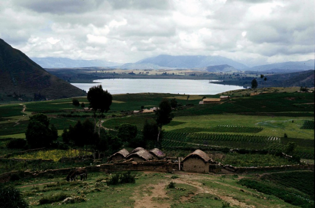 Potatoes – the real treasure of the Incas . . . | A balanced diet