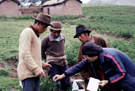 Potatoes – the real treasure of the Incas . . . | A balanced diet